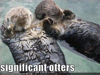 Significant Otters - Luvze
