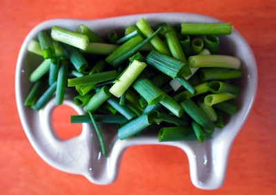 Of Elephants and Onions: Rape, Pregnancy, and Labeling - Luvze