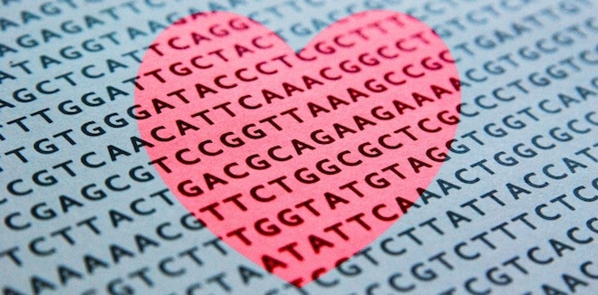 Your First Date: Make Sure Your Genes Fit - Luvze