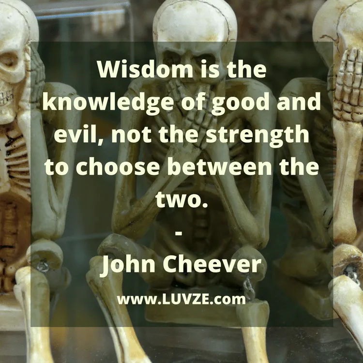 Citations sur la sagesse