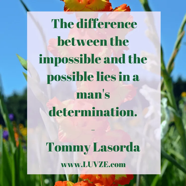 Citations sur la détermination