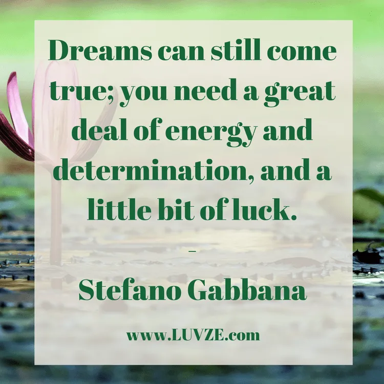 Citations sur la détermination