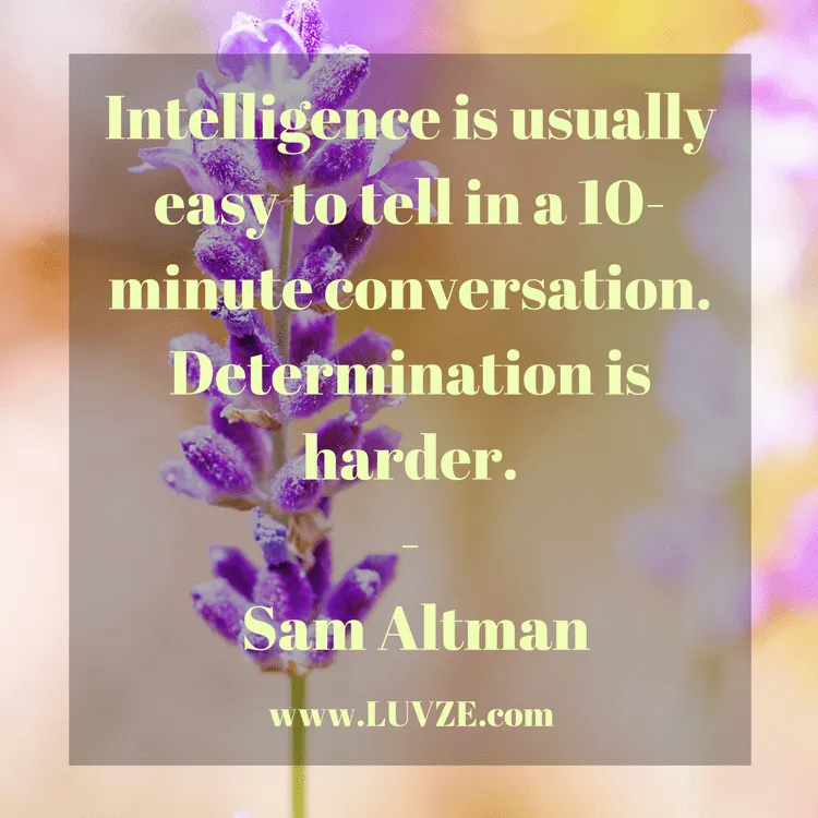 Citations sur la détermination