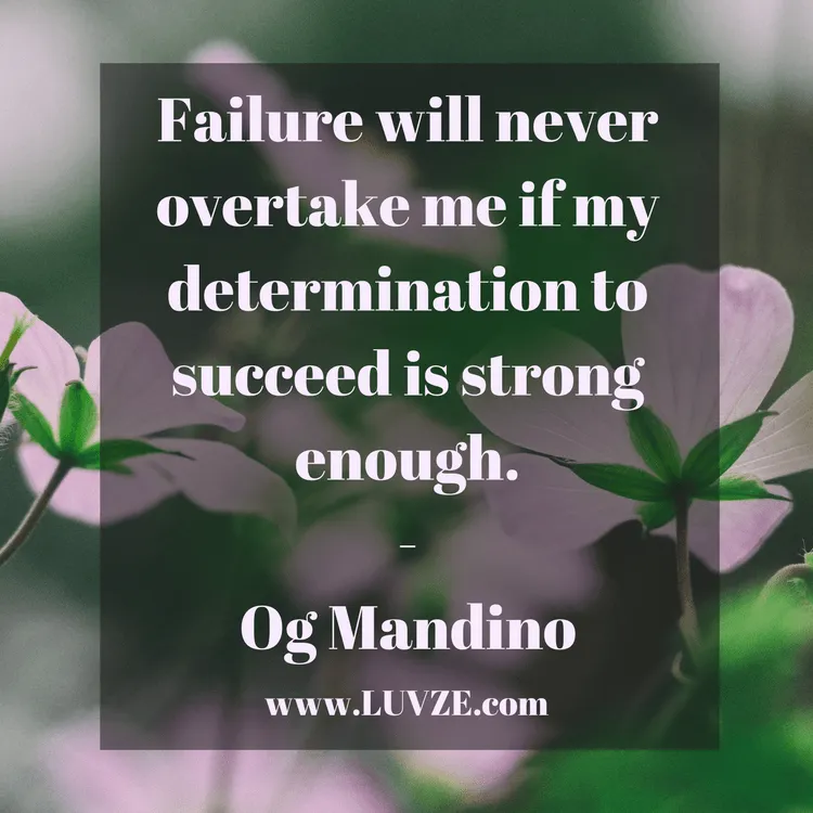 Citations sur la détermination