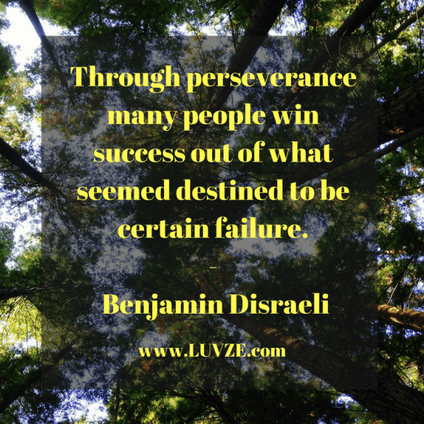 125 Perseverance Quotes and Saying to Not Give Up