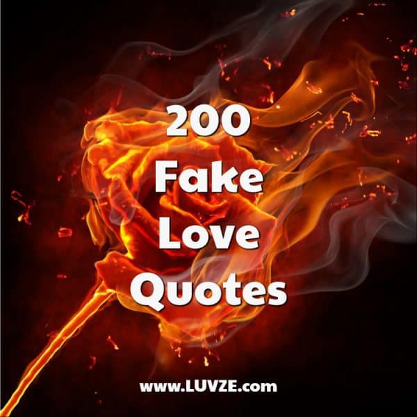 200 Fake Love Quotes and Sayings