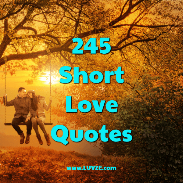 245 Short Love Quotes For Him and Her - We Wishes